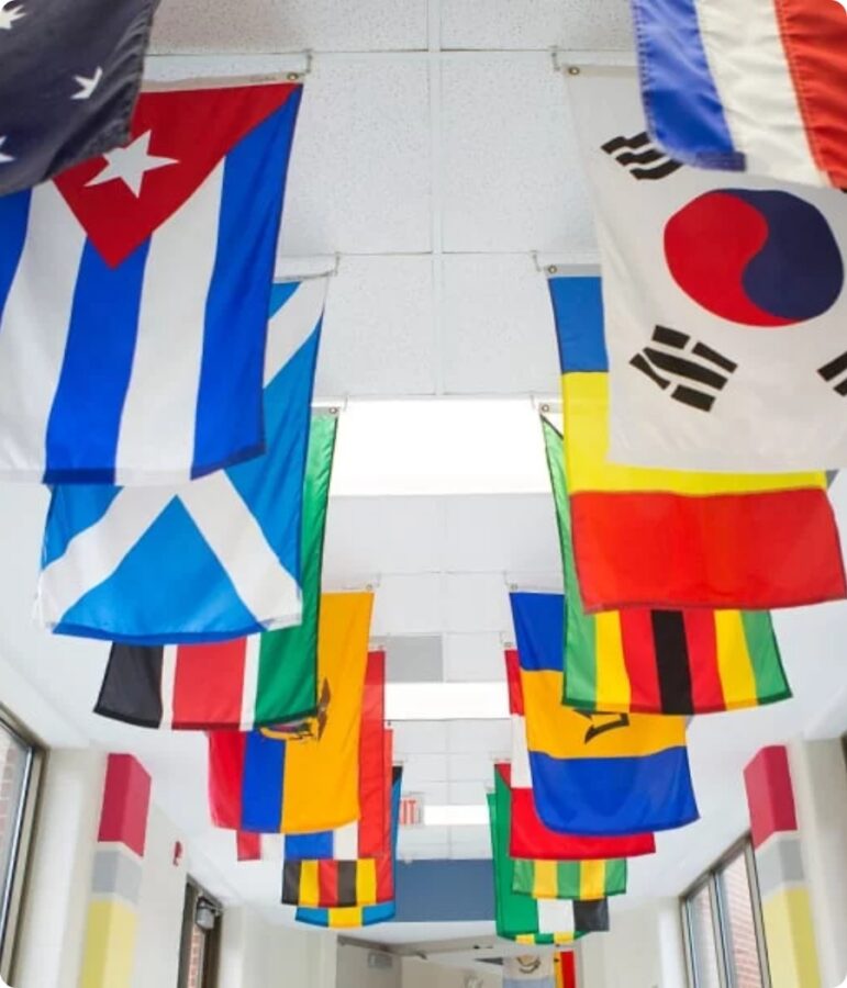 Global Leaders - Participate Learning